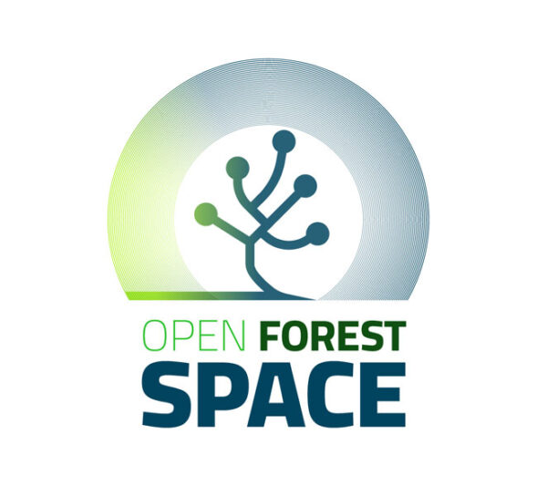 Open Forest Space – Selviaula
